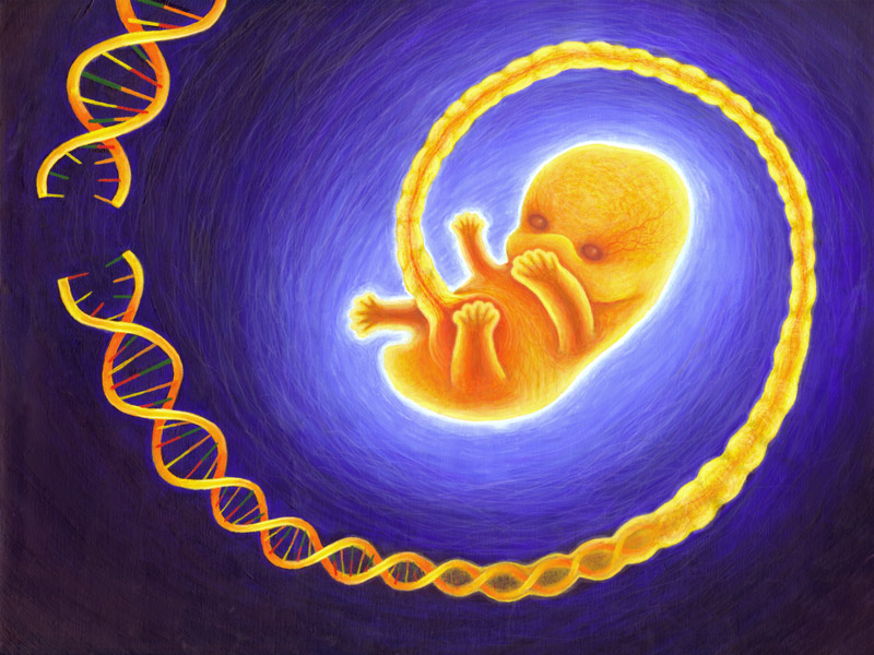 Pro life Blog Buzz 3 10 15 Jill Stanek Jill Stanek Pro life Blog Buzz 3 10 15 Jill Stanek Jill Stanek